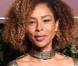 Lisa Thorner: A Closer Look at Damon Wayans Ex-Wife - English Loom